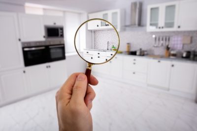 Structural Inspection vs. Home Inspection